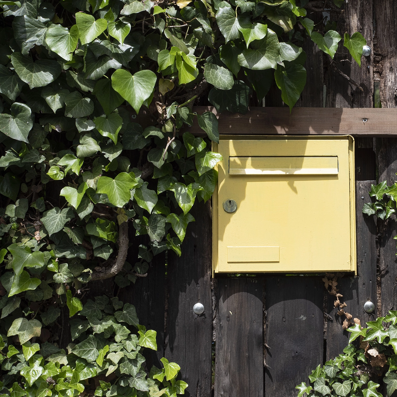 Willkommen in der TANKE - Tanke Freyenstein